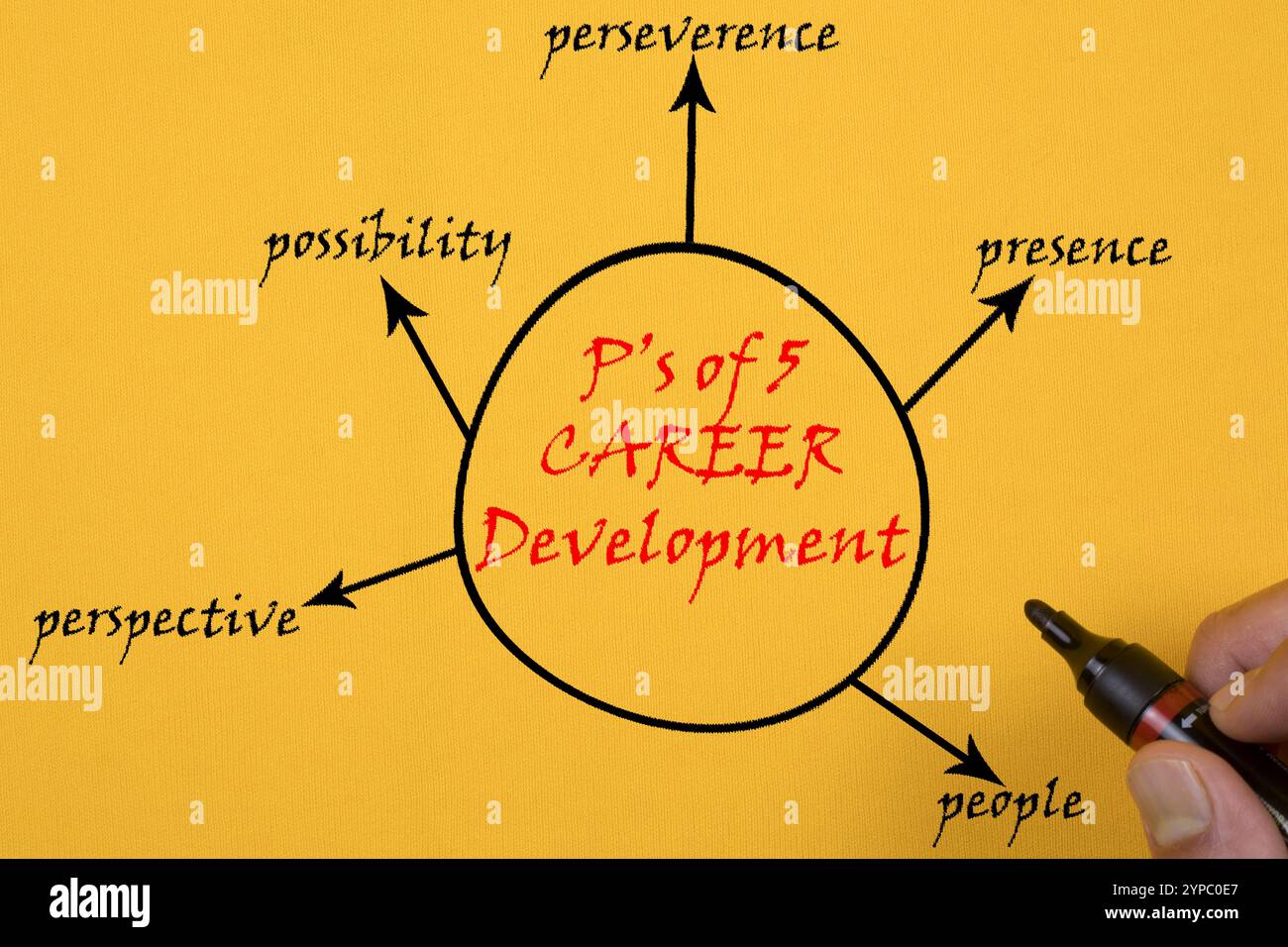 5 P's of Career Development - the process an individual may undergo to ...