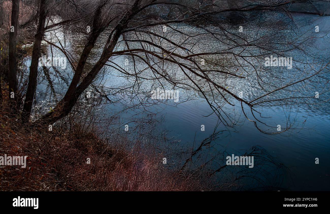 Tree arching over a small lake in central Virginia in autum Stock Photo ...