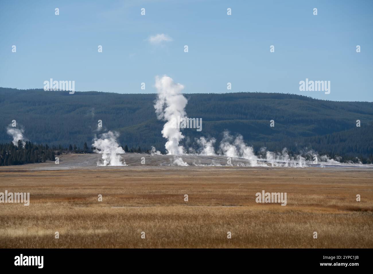 an active geyser spring with an intermittent discharge of water ejected ...