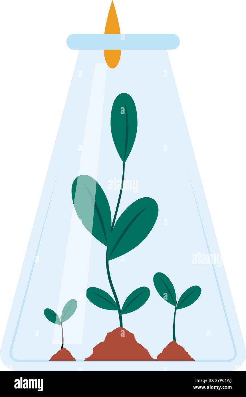 Plants growing inside a laboratory flask during an experiment with ...