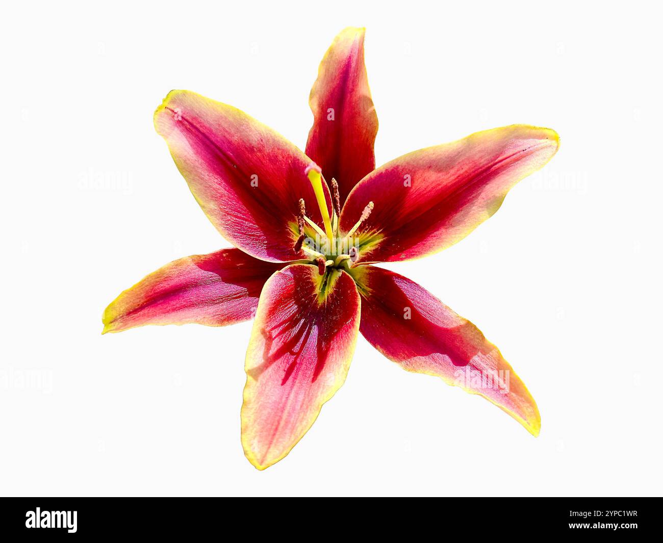 Nordic deep Cut Out Stock Images & Pictures - Alamy