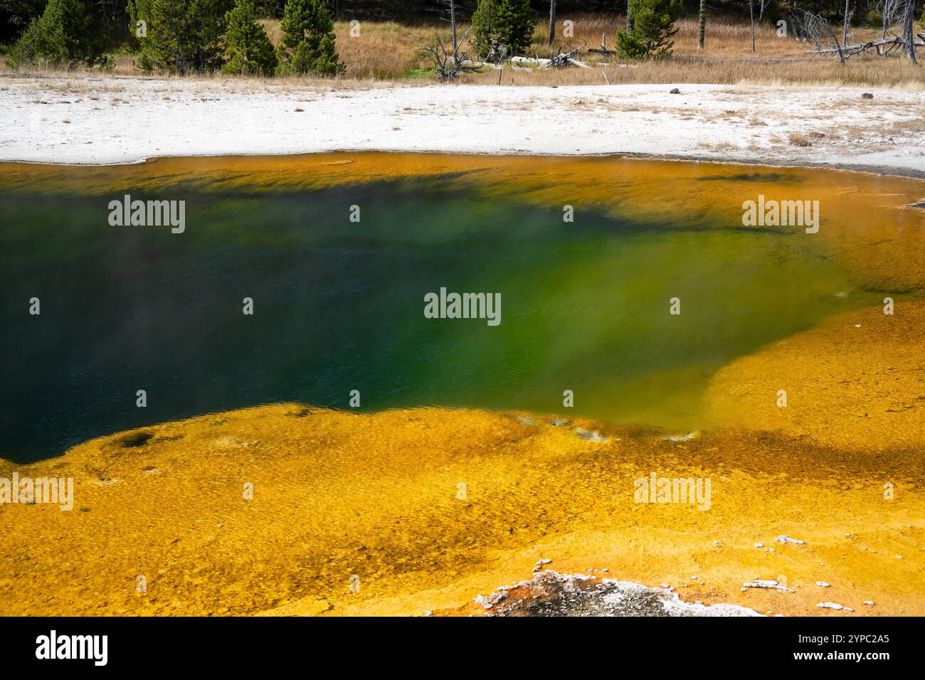 an active geyser spring with an intermittent discharge of water ejected ...
