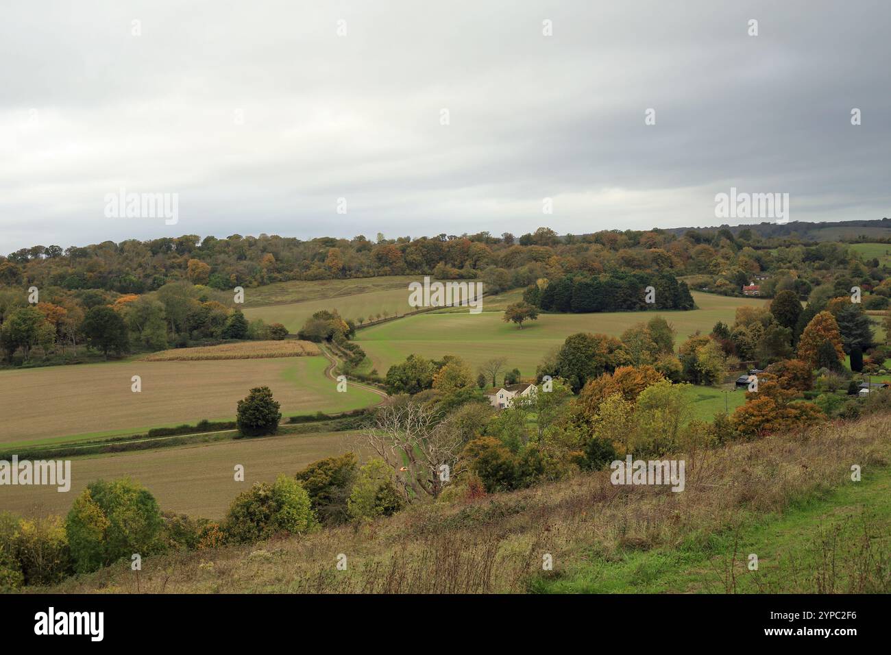 Kent downs national landscape geopark hi-res stock photography and ...