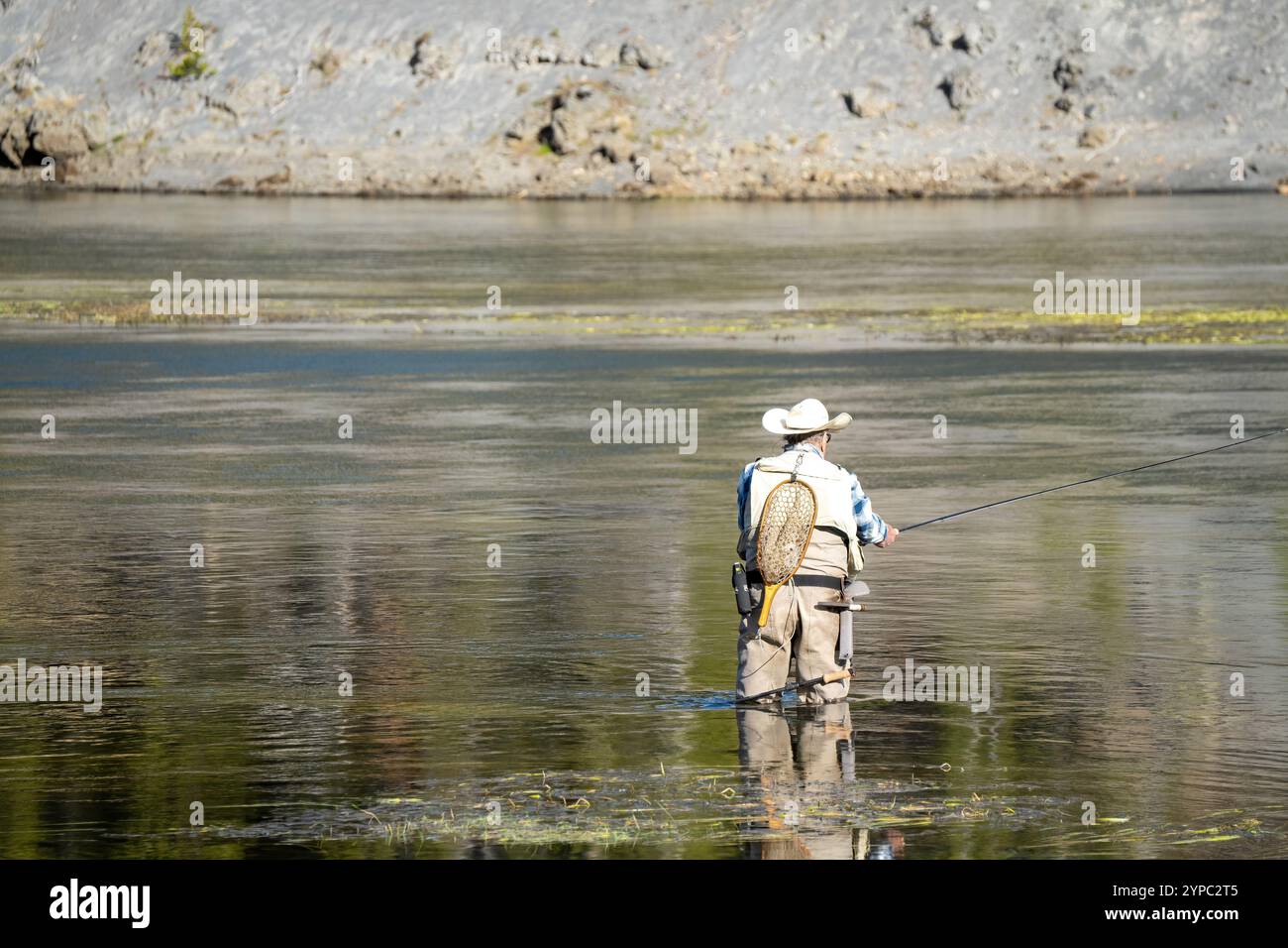 a fly fisherman in waders fishing in a blue water river Stock Photo - Alamy