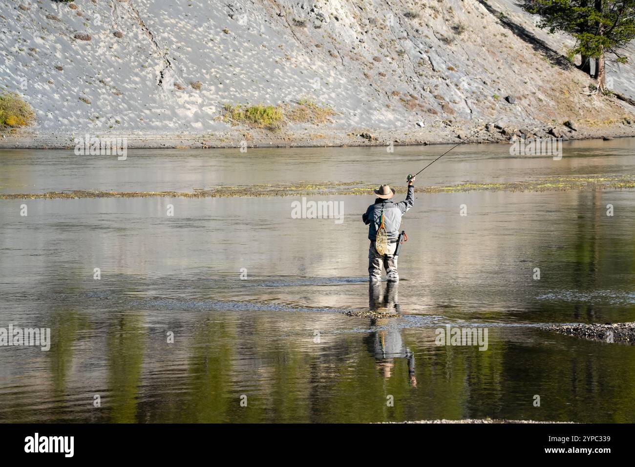 a fly fisherman in waders fishing in a blue water river Stock Photo - Alamy