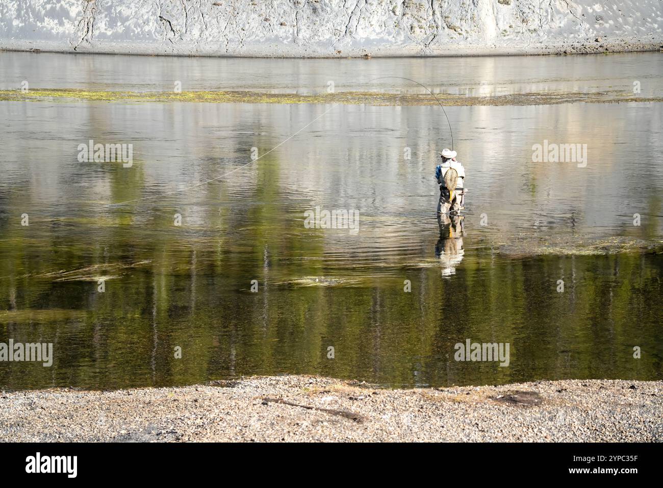 a fly fisherman in waders fishing in a blue water river Stock Photo - Alamy