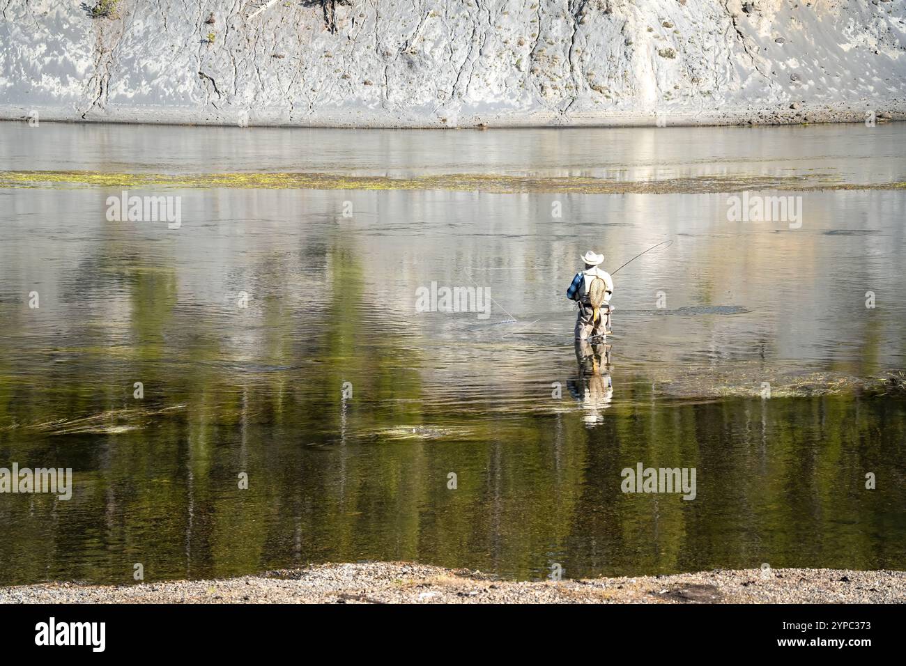 a fly fisherman in waders fishing in a blue water river Stock Photo - Alamy
