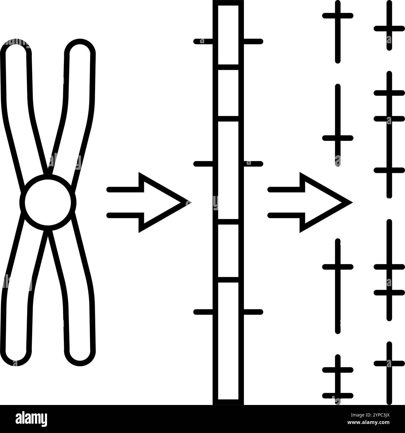 gene mapping cryptogenetics line icon vector illustration Stock Vector ...