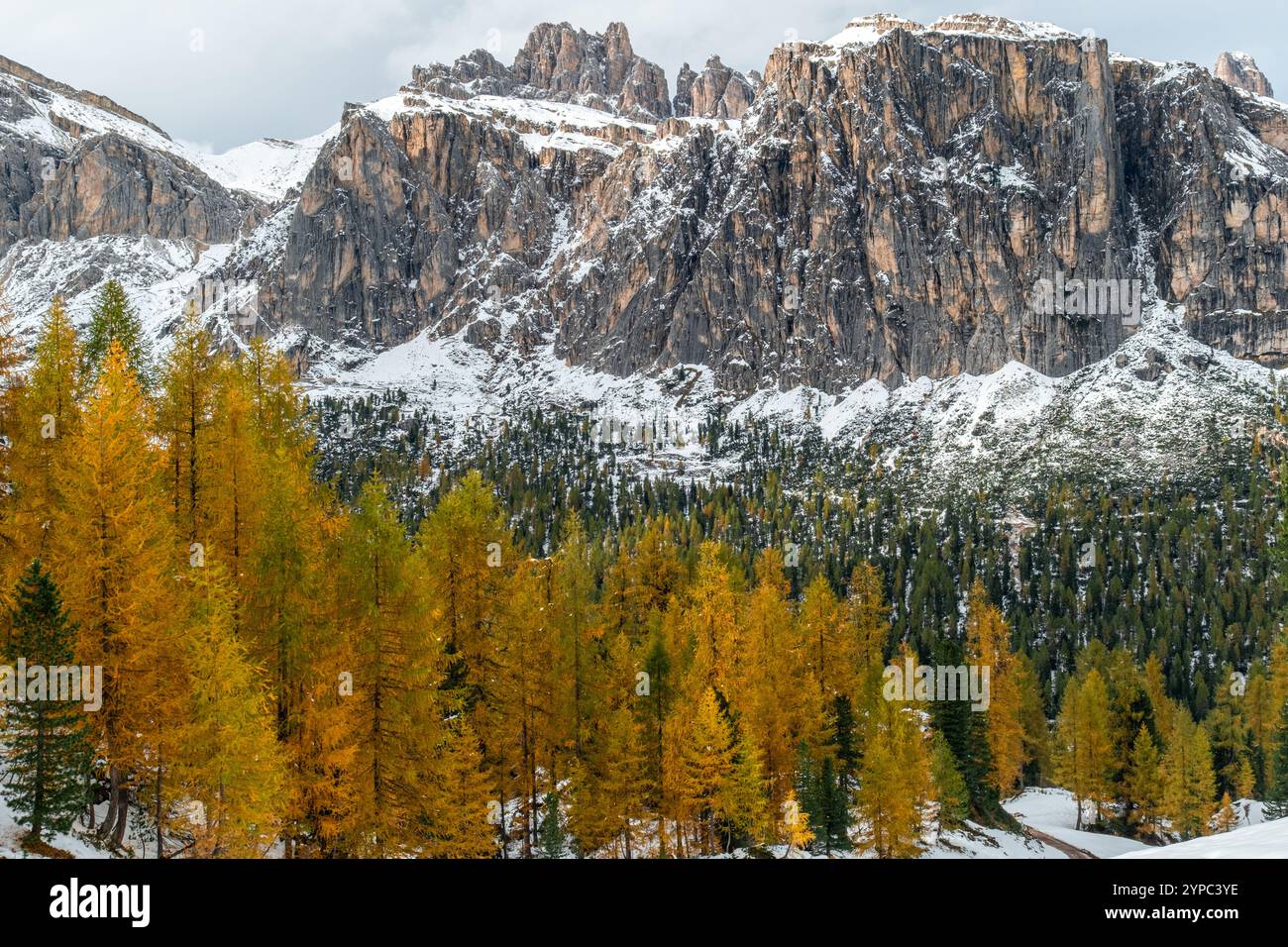 Snow blankets the ground as vibrant autumn trees create a striking ...