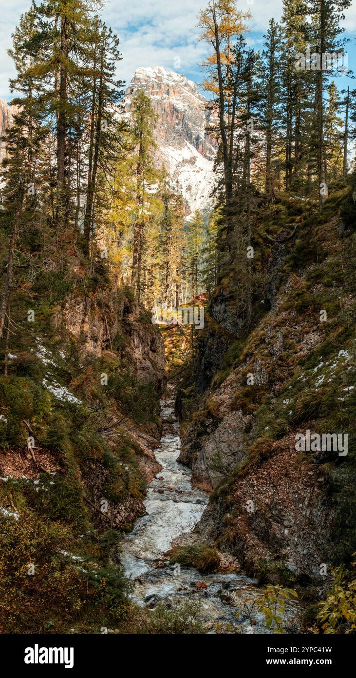 Autumn’s vibrant palette paints the landscape along the Croda da Lago ...
