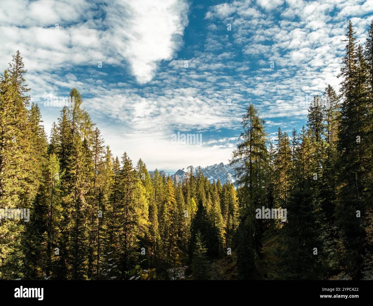 The Croda da Lago hiking trail is alive with the brilliant colors of ...