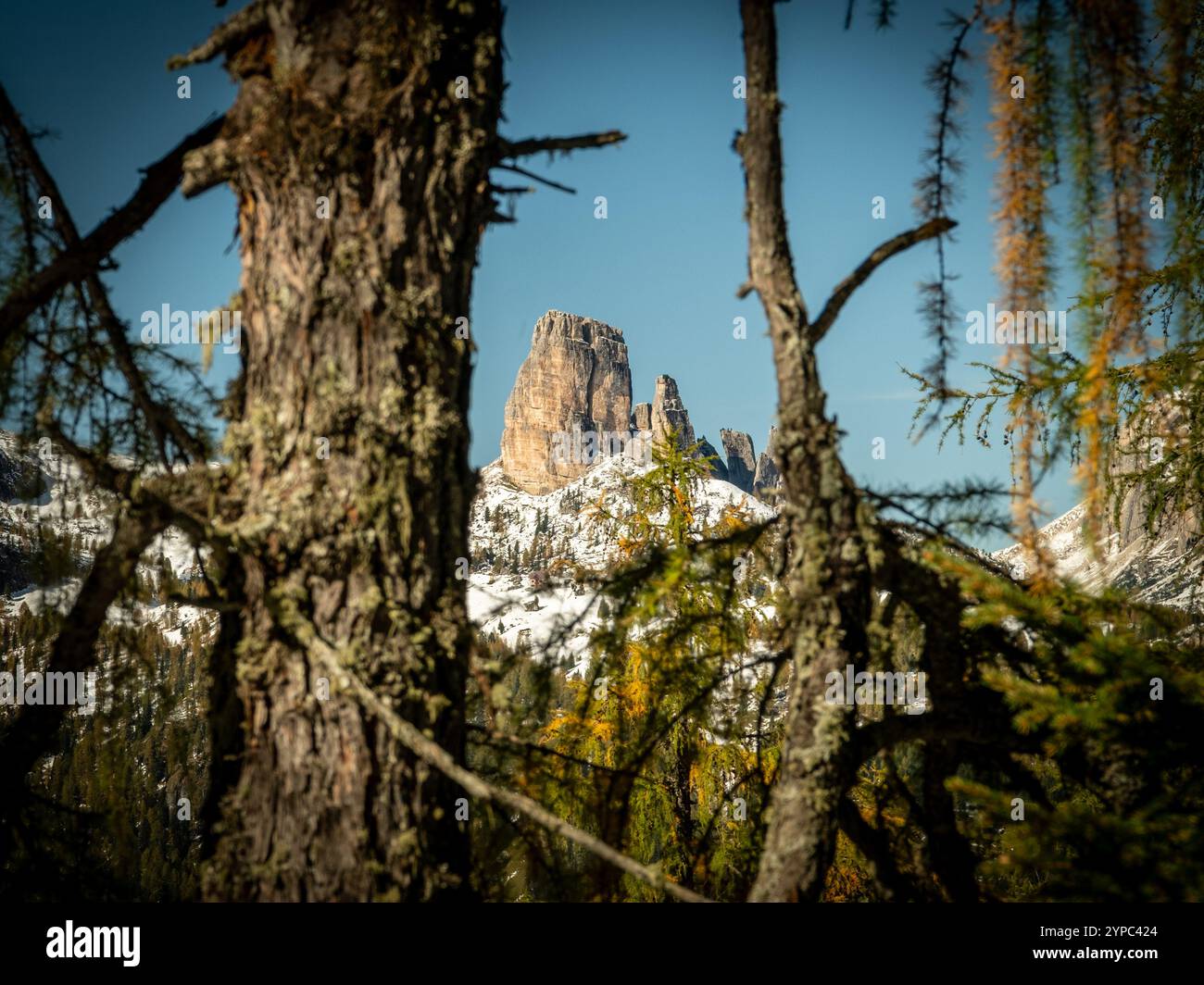 Hiking the Croda di Lago trail, the fiery colors of autumn trees offer ...
