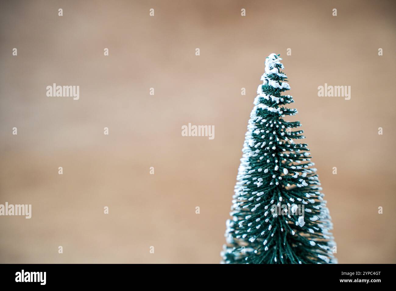 Mini christmas trees hi-res stock photography and images - Alamy