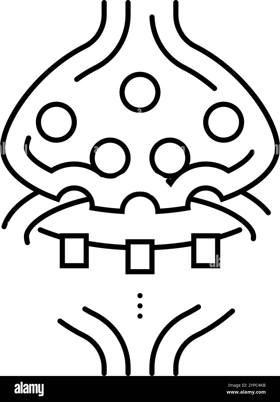 synaptic transmission neuroscience neurology line icon vector ...
