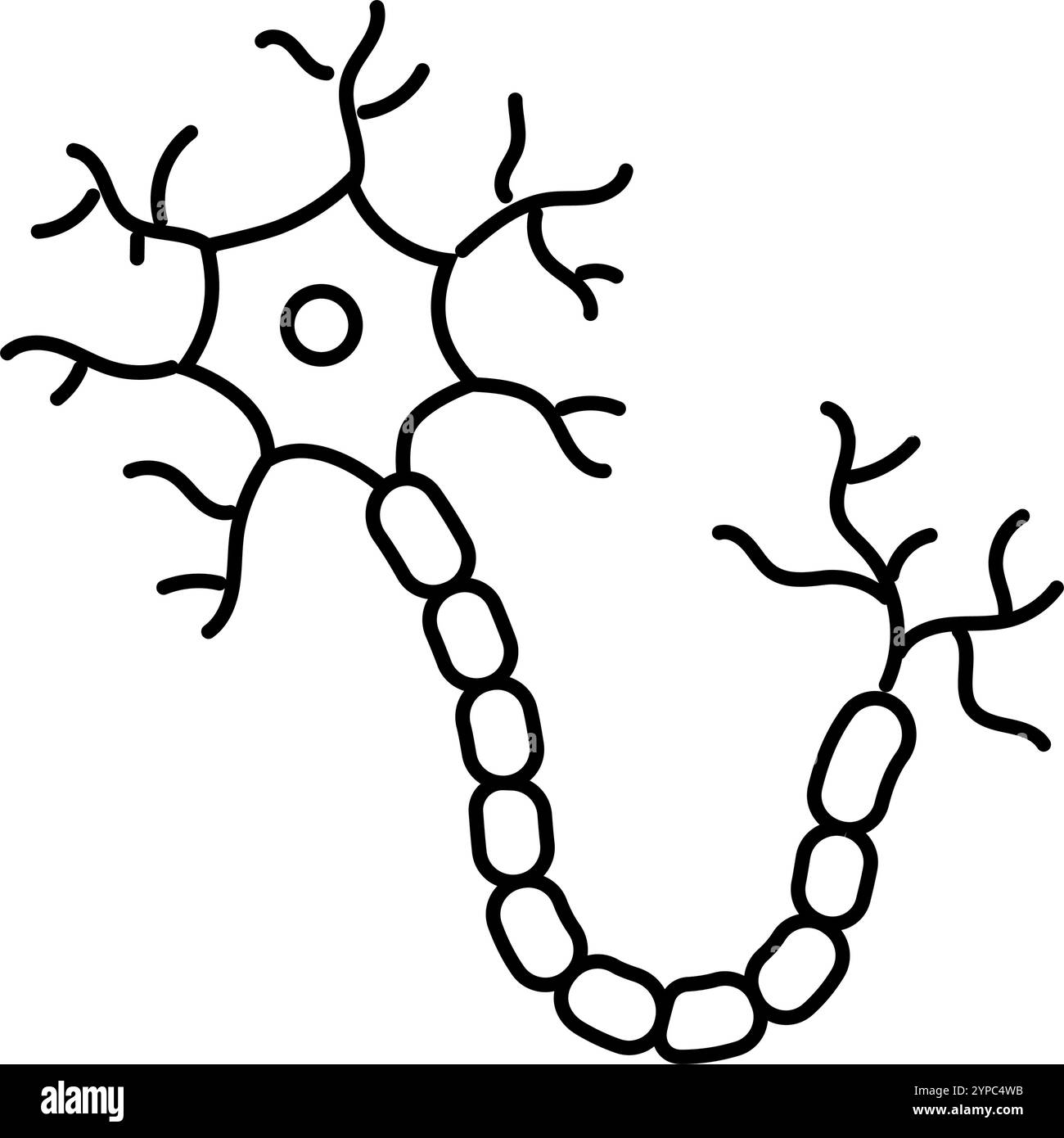 neuron structure neuroscience neurology line icon vector illustration ...