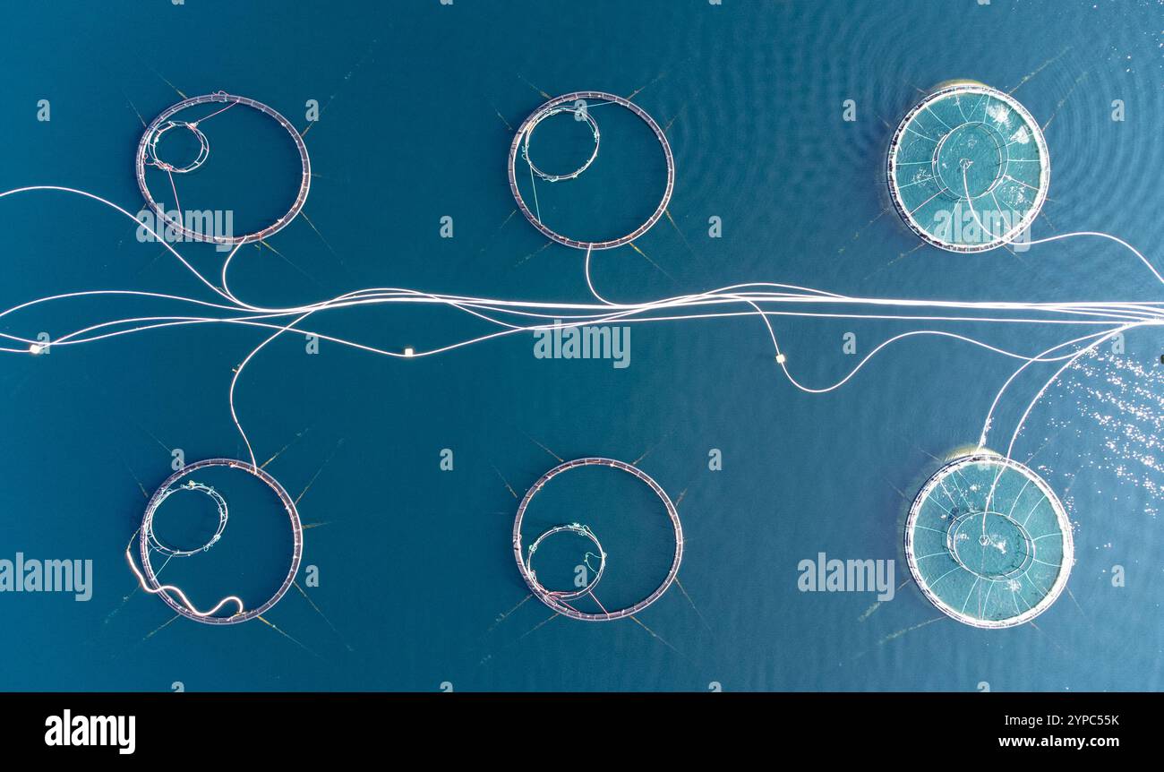 Aerial view circular fish hi-res stock photography and images - Alamy