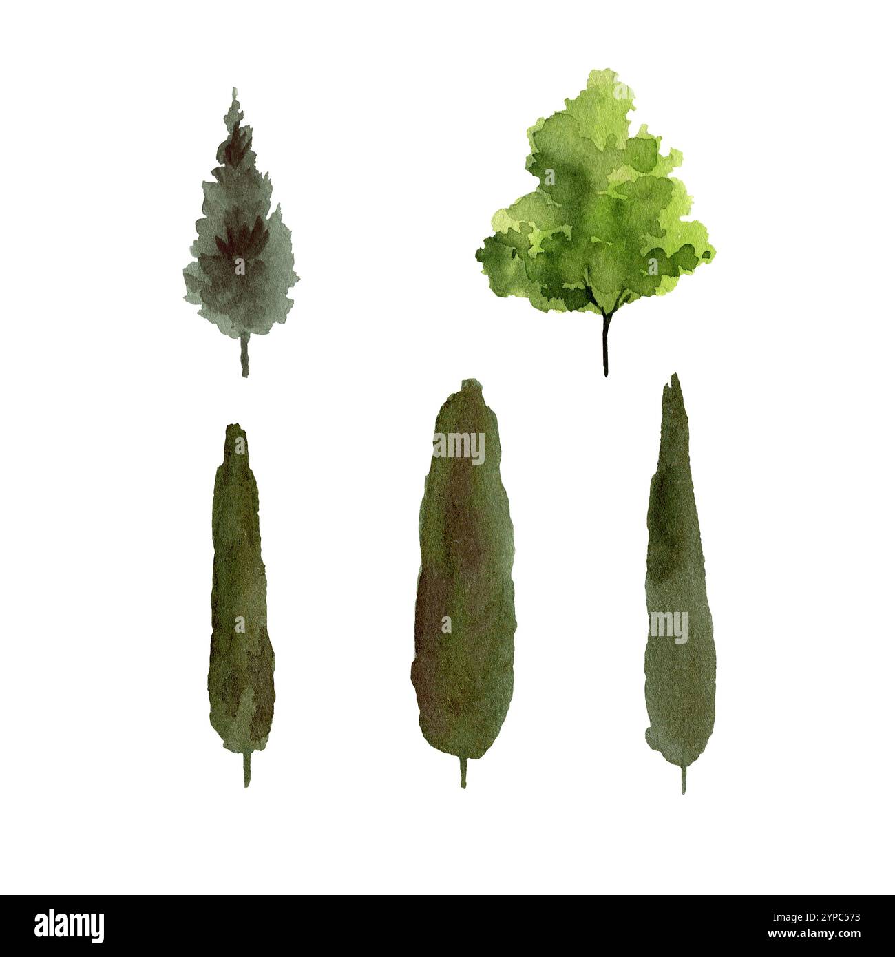 Sketch of tree hi-res stock photography and images - Alamy