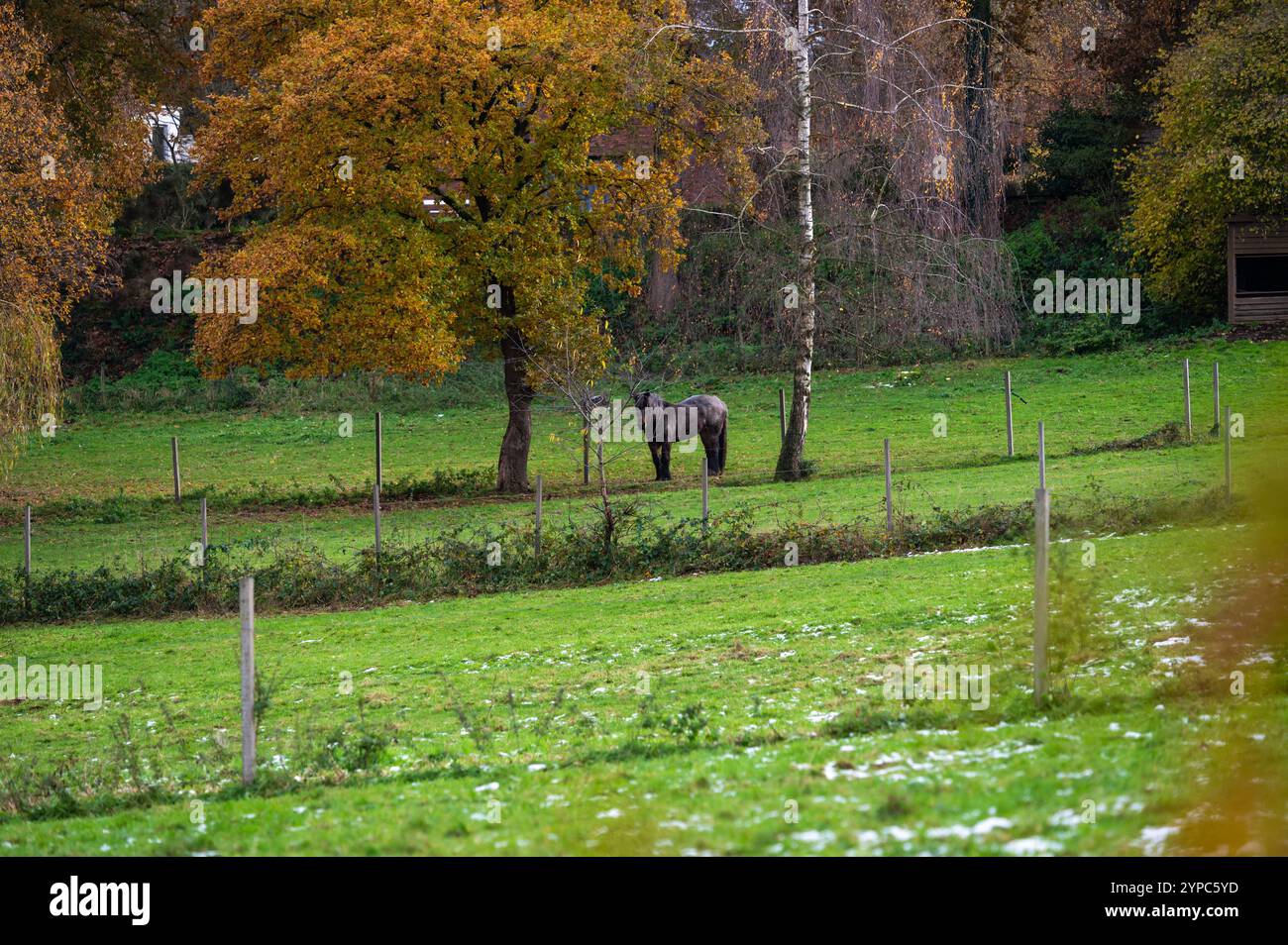 Oud heverlee leuven hi-res stock photography and images - Alamy