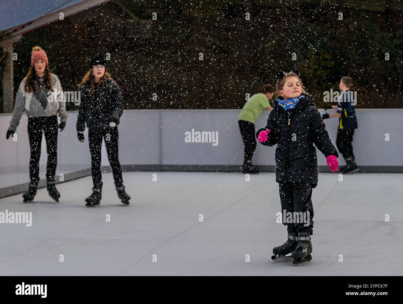 Dalkeith Country Park, Scotland, UK, 29 November 2024, WinterFest at ...