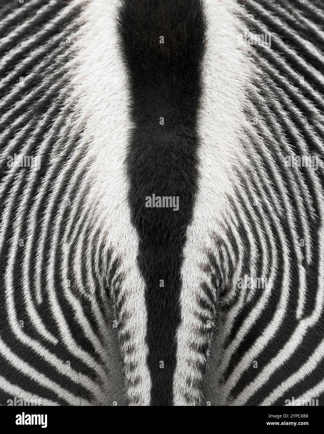 Black and white vertical pattern hi-res stock photography and images ...