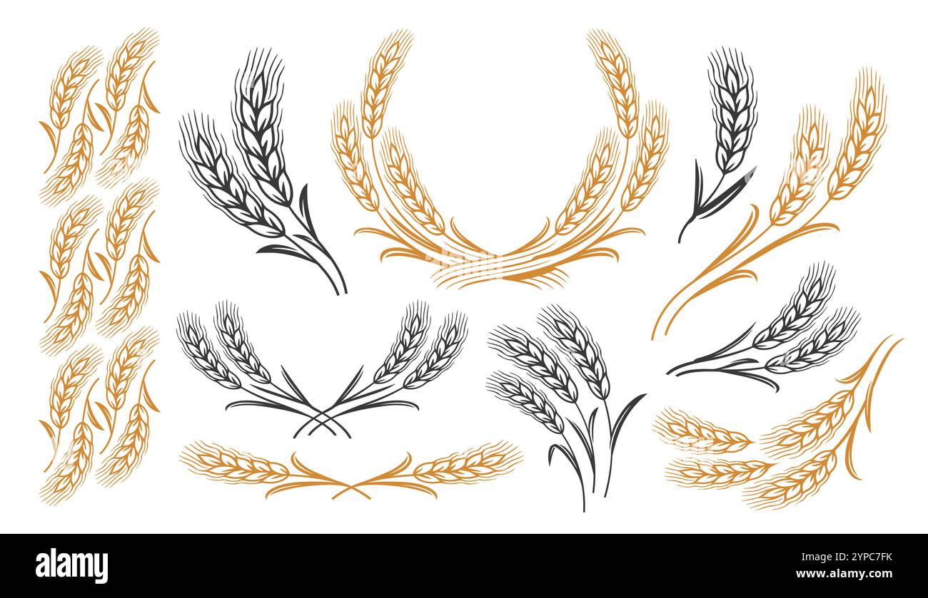 Wheat ears of grain collection of symbols. Set of decorative elements ...