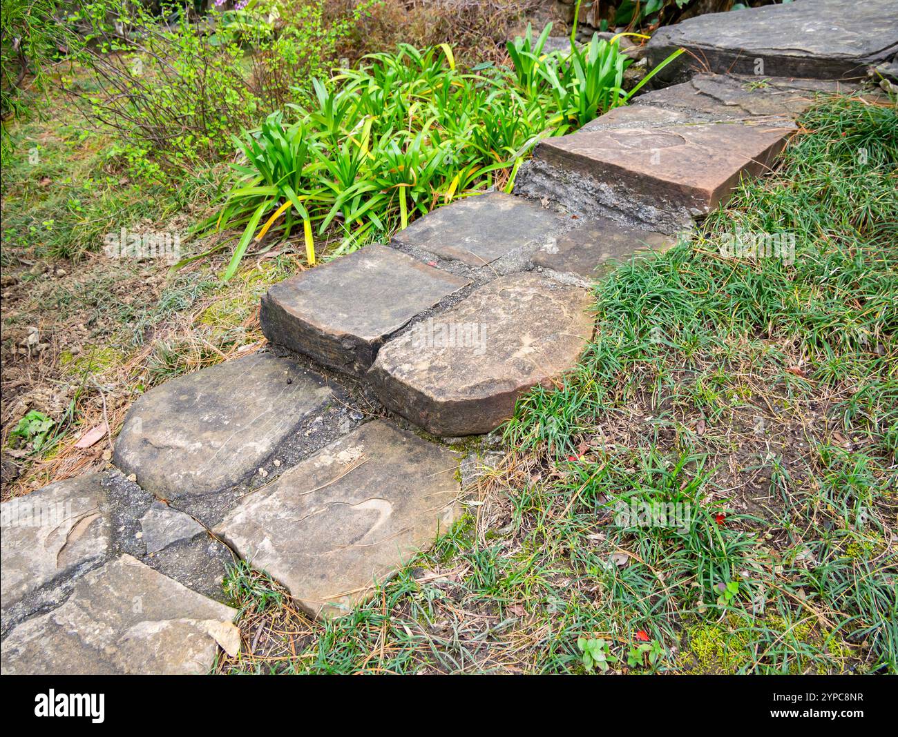 Path with steps made of rectangular natural stone Stock Photo - Alamy