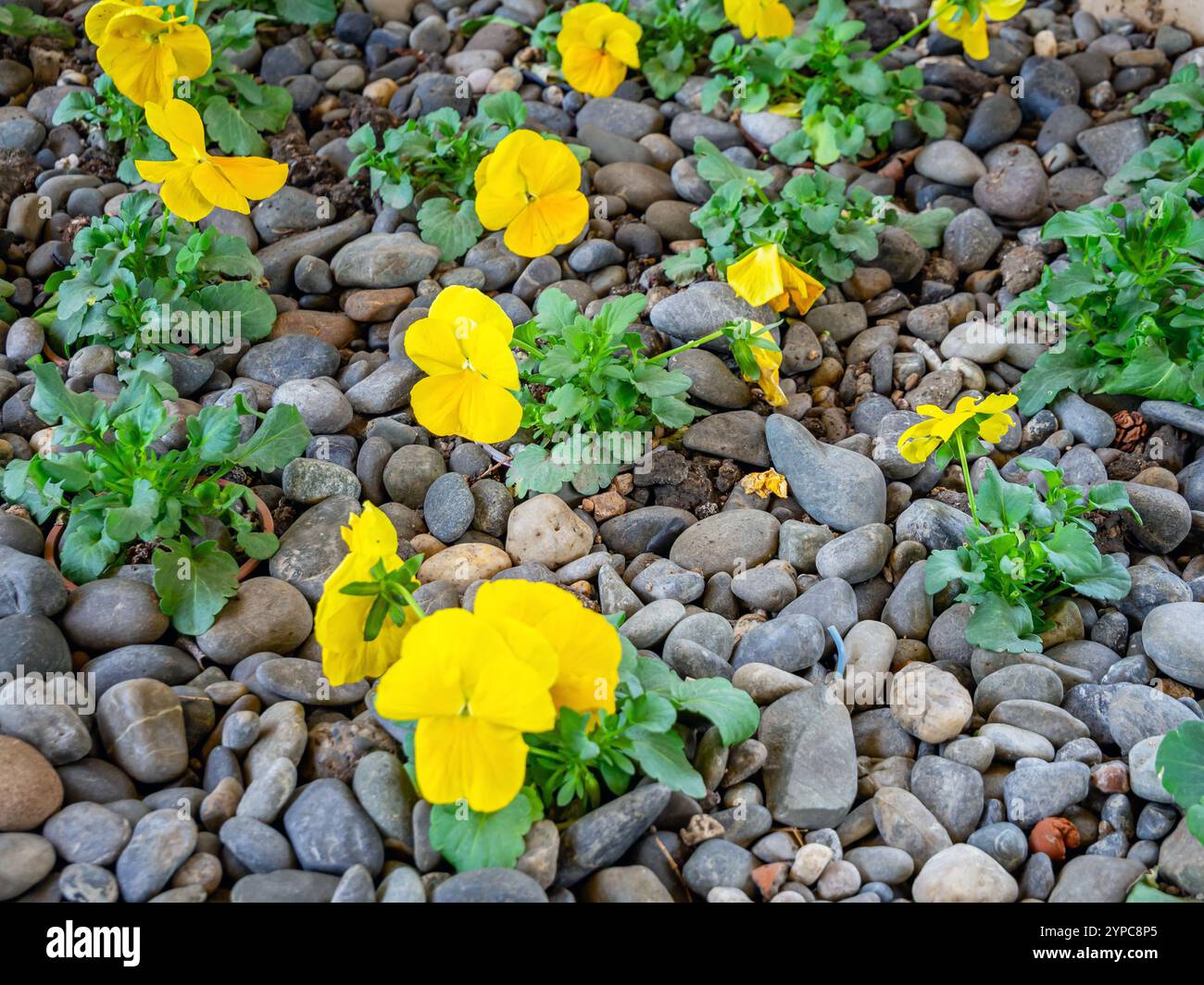 Rubble backfill hi-res stock photography and images - Alamy