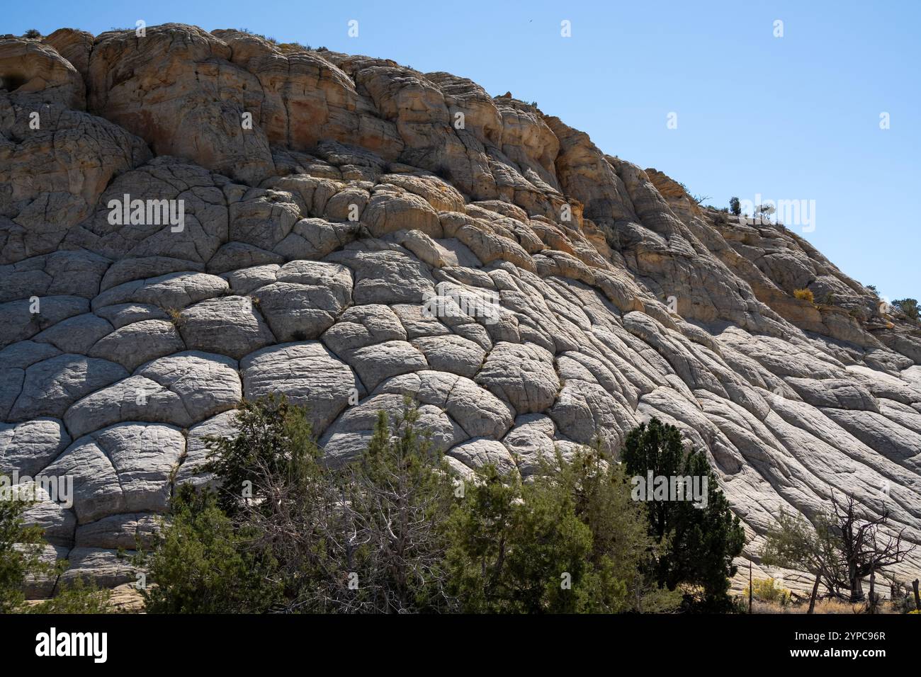 close-up of cross-bedded Navajo sandstone rock (fossilised sand-dunes ...