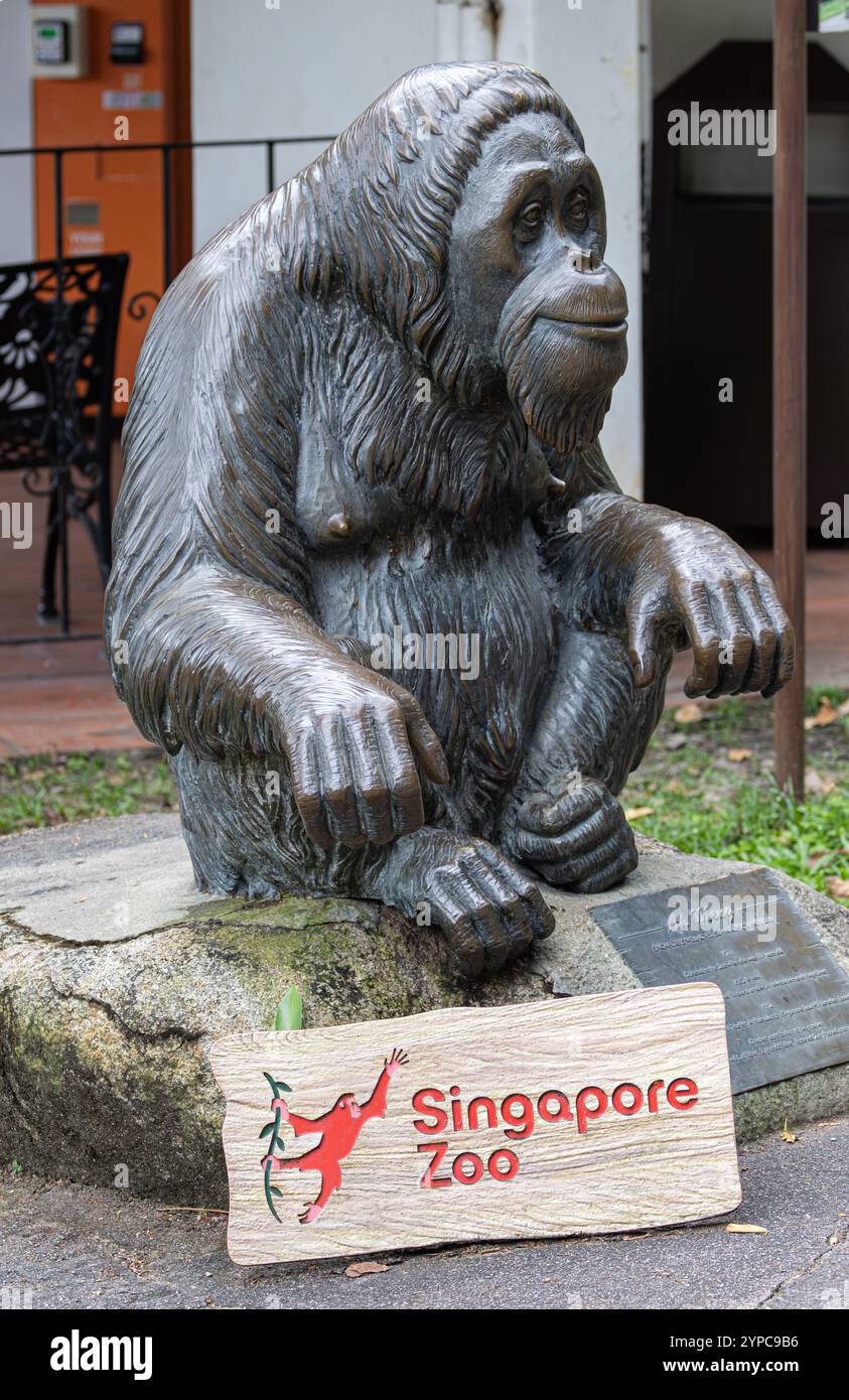 Statue of Ah Meng, a female Sumatran orangutan at Singapore Zoo Stock ...