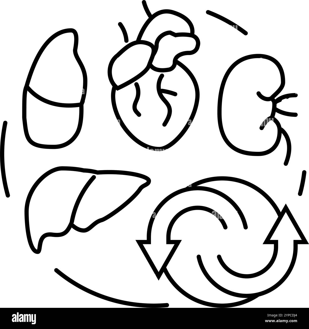 organ transplant surgery hospital line icon vector illustration Stock ...
