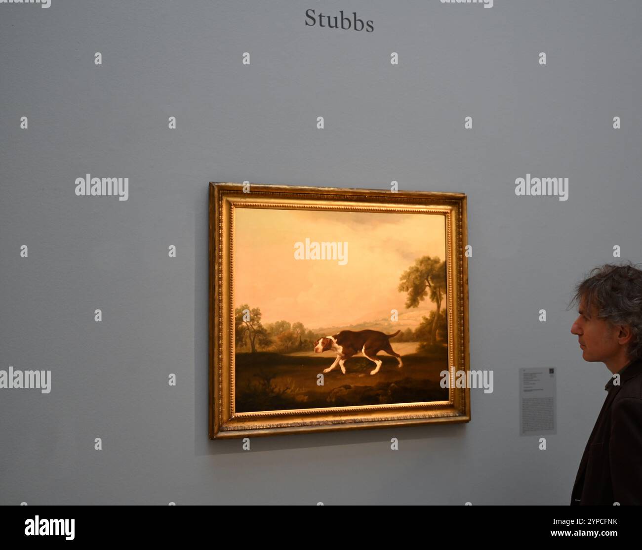 Highlights spanning renaissance Italy ,the great painters of the ...