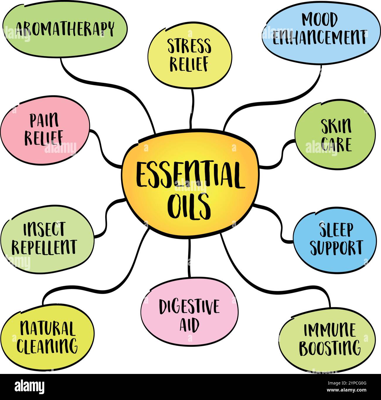 essential oils applications, mind map infographics sketch Stock Vector ...