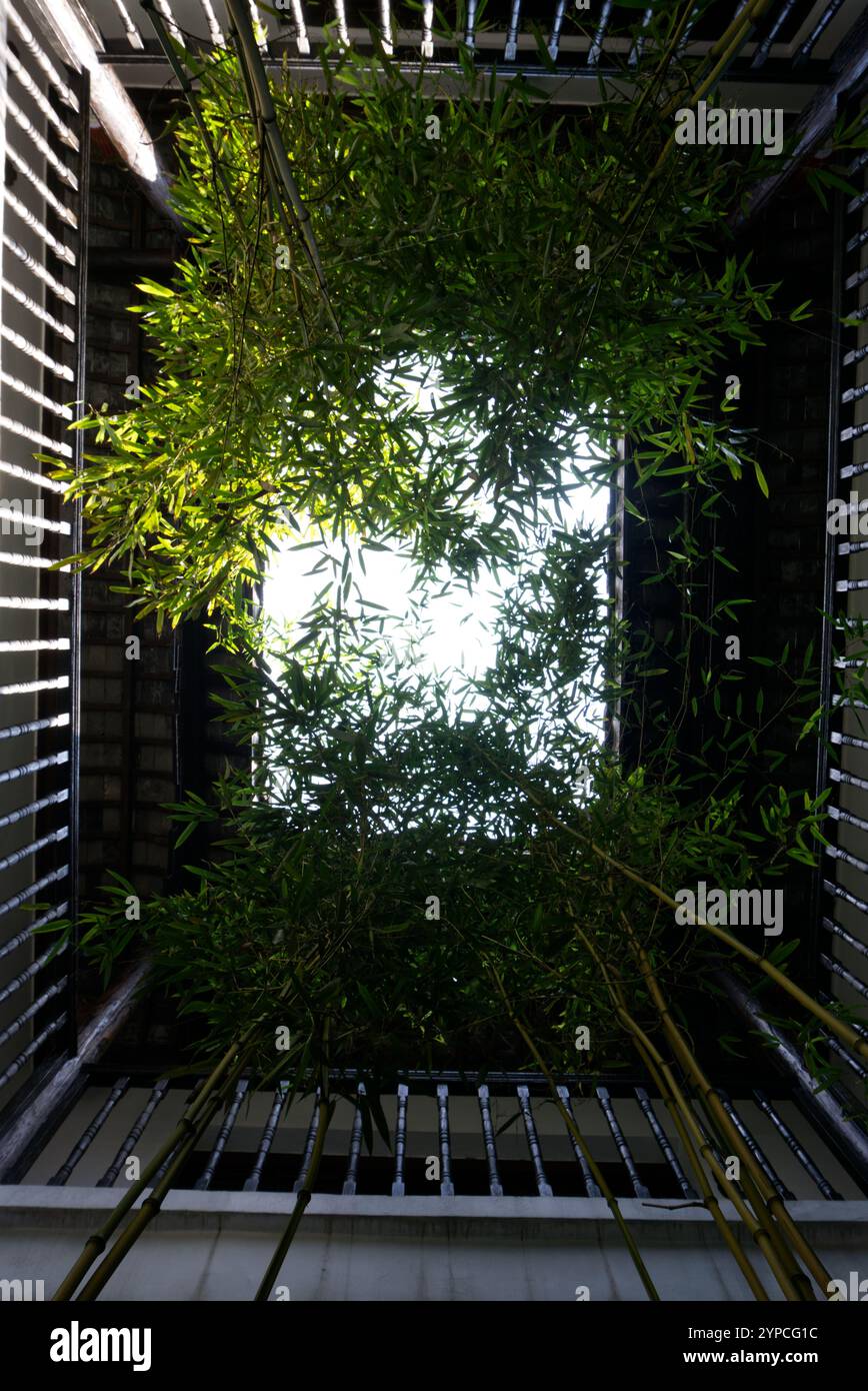 Helong park hi-res stock photography and images - Alamy