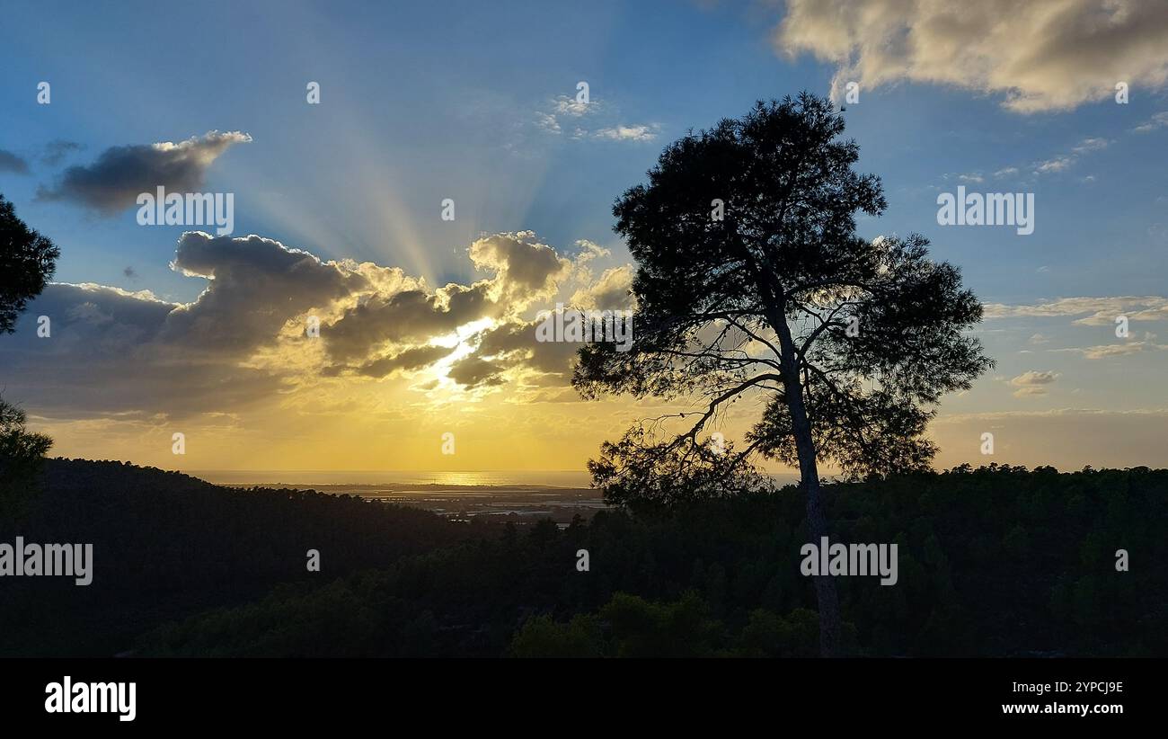 Beautiful nature israel hi-res stock photography and images - Alamy
