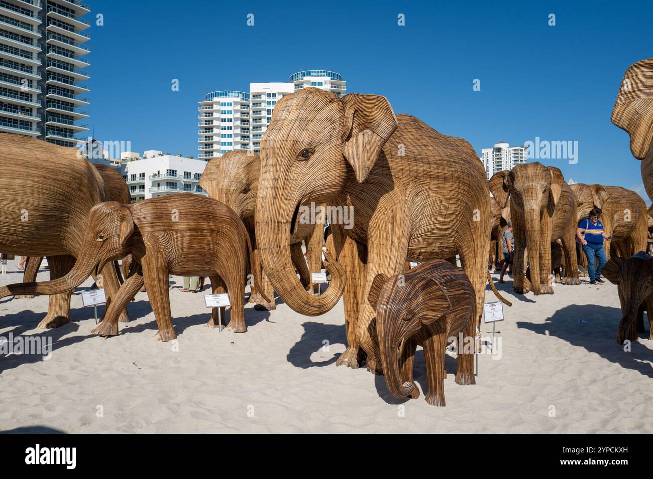 Miami, United States Of America. 29th Nov, 2024. Miami Beach, FL-NOV 29 ...