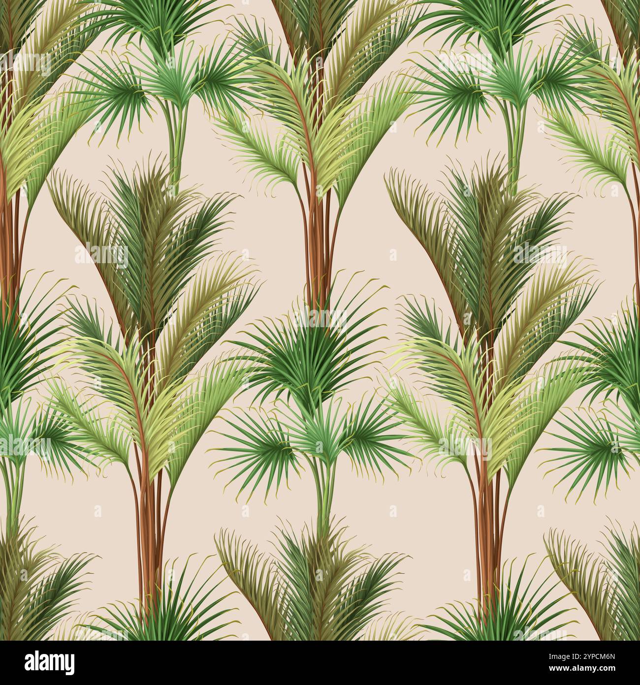 Rainforest canopy plants Stock Vector Images - Alamy