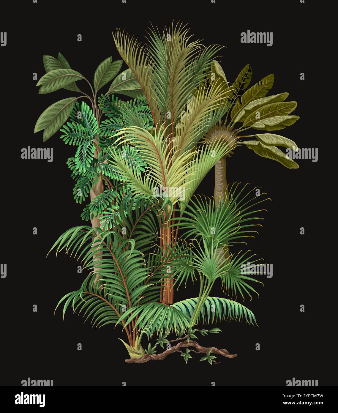 Different palm trees isolated. Tropical vector Stock Vector Image & Art ...