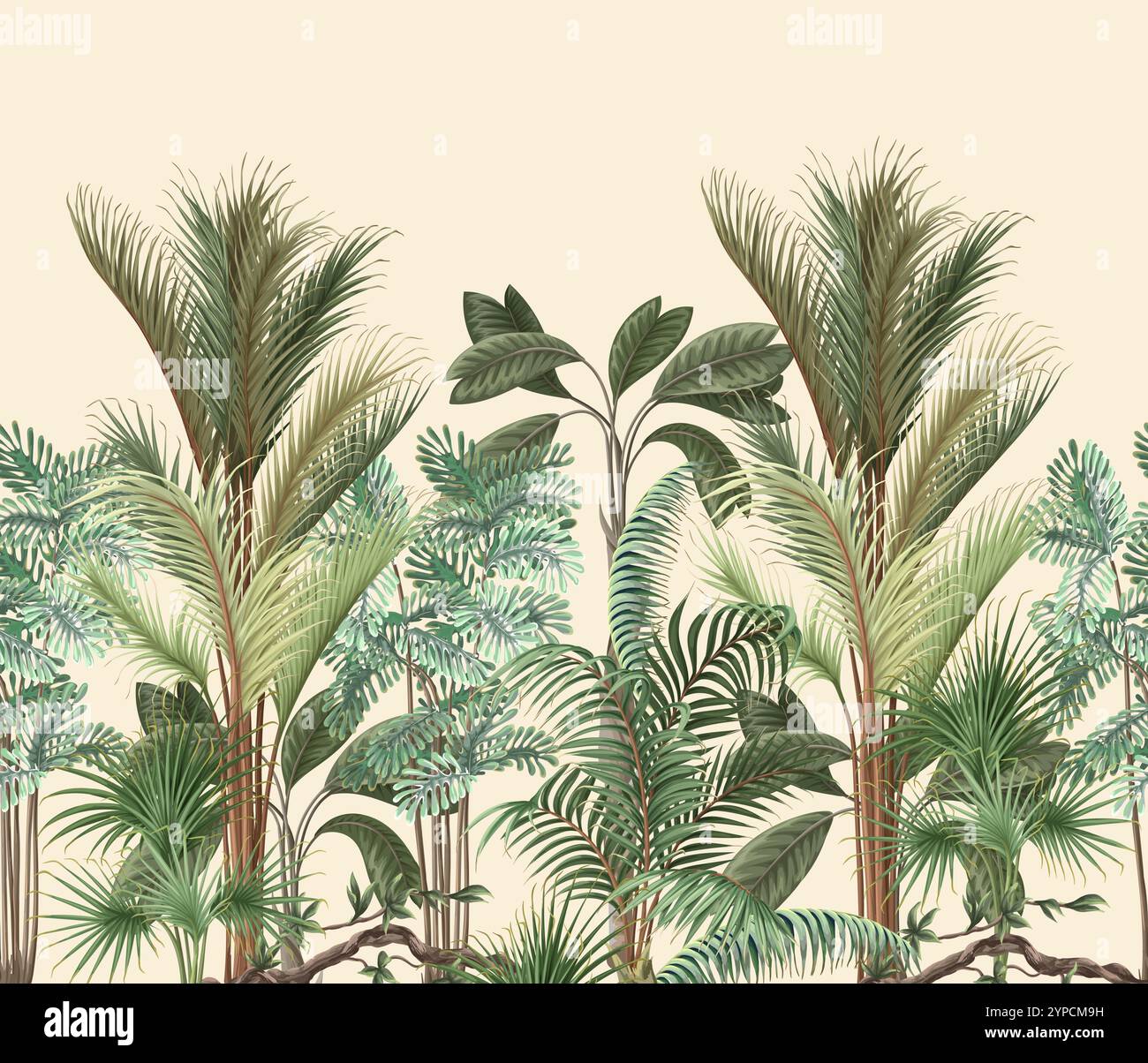 Border with different palm trees. Tropical vector Stock Vector Image & Art - Alamy
