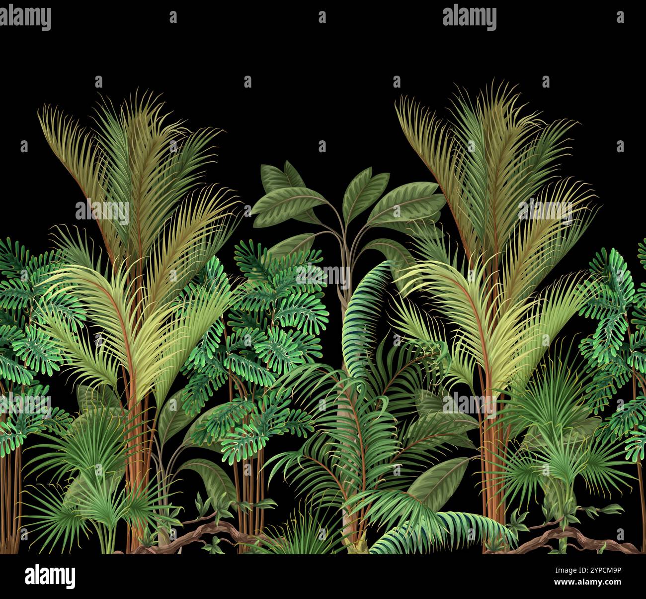 Border with different palm trees. Tropical vector Stock Vector Image & Art - Alamy