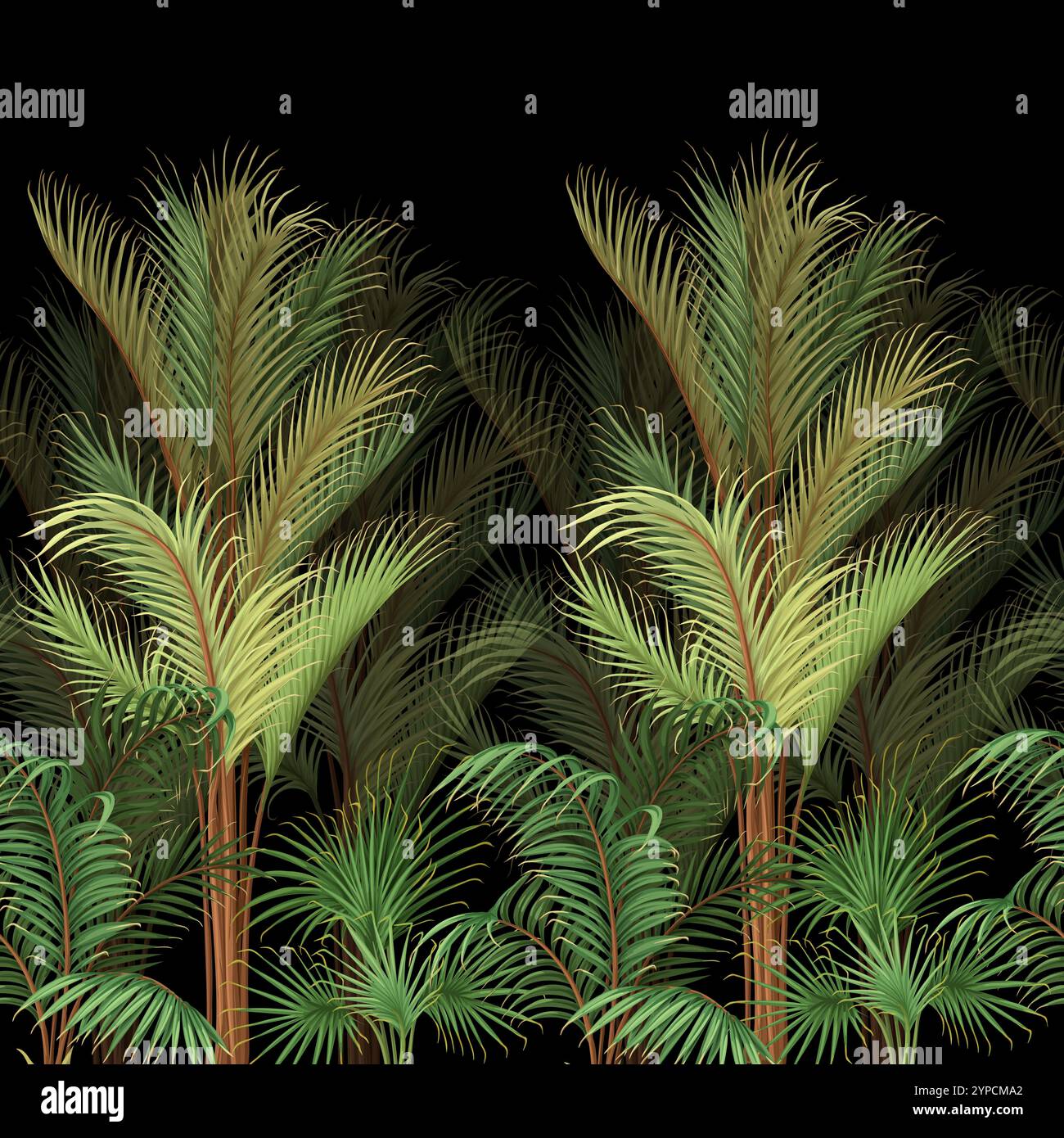 Border with different palm trees. Tropical vector Stock Vector Image ...