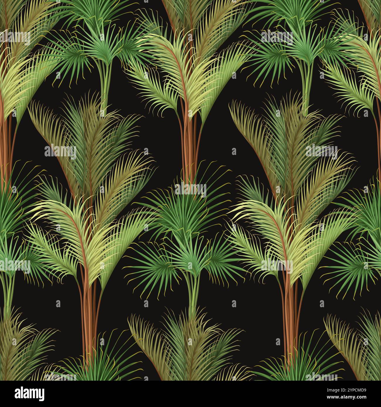 Seamless pattern with different palm trees. Tropical vector Stock Vector Image & Art - Alamy