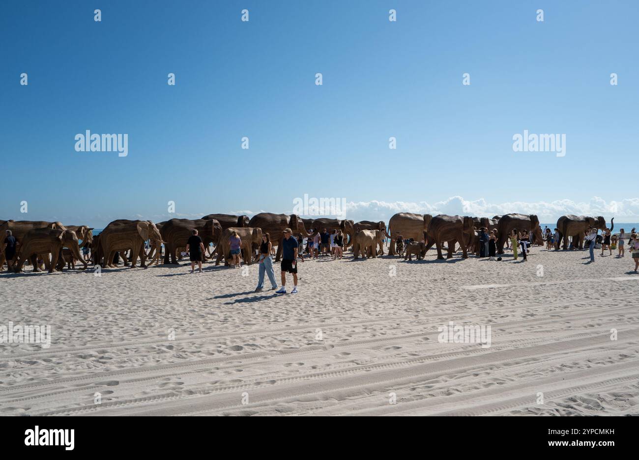 Miami, United States Of America. 29th Nov, 2024. Miami Beach, FL-NOV 29 ...
