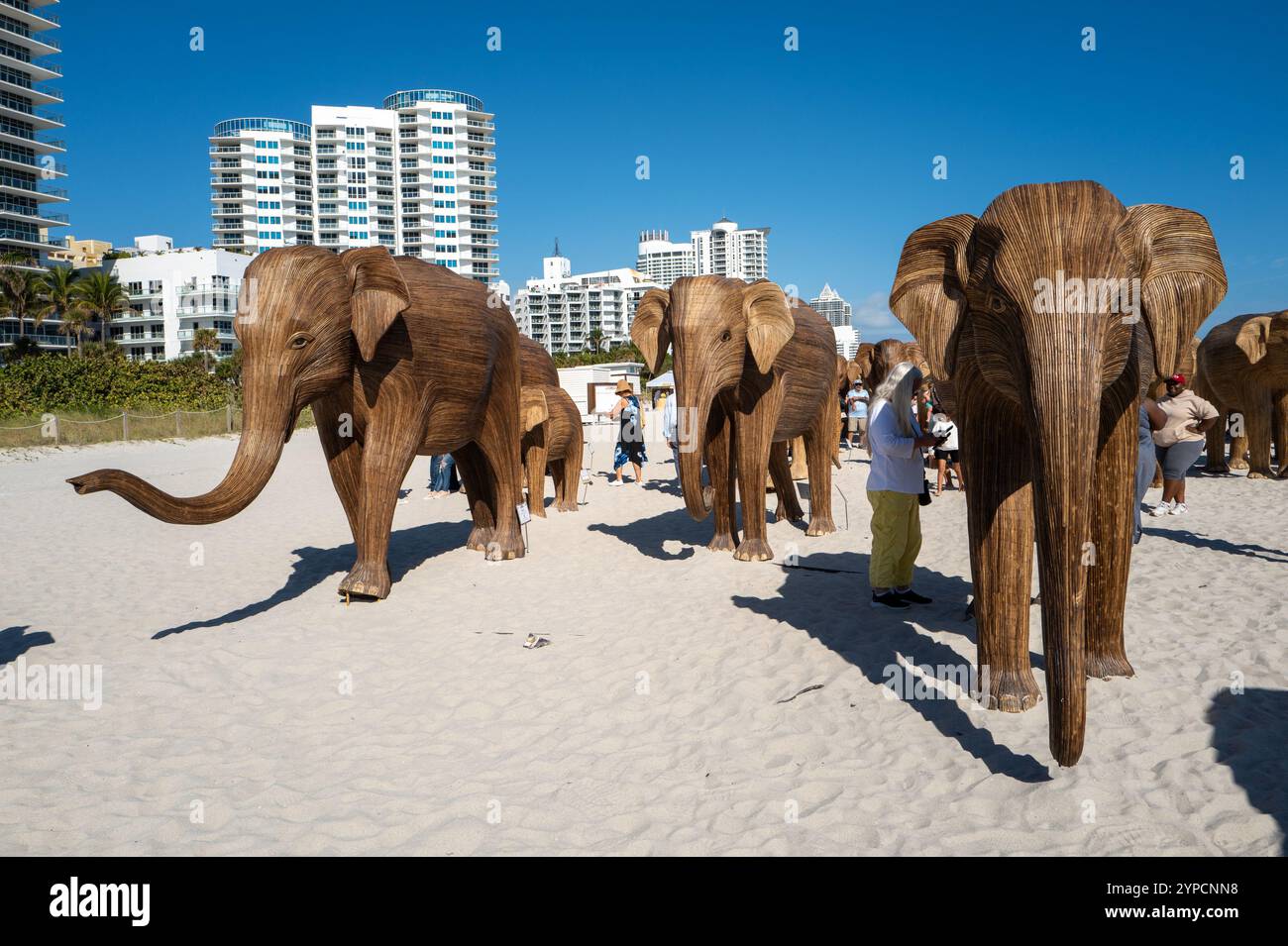 Miami, United States Of America. 29th Nov, 2024. Miami Beach, FL-NOV 29 ...