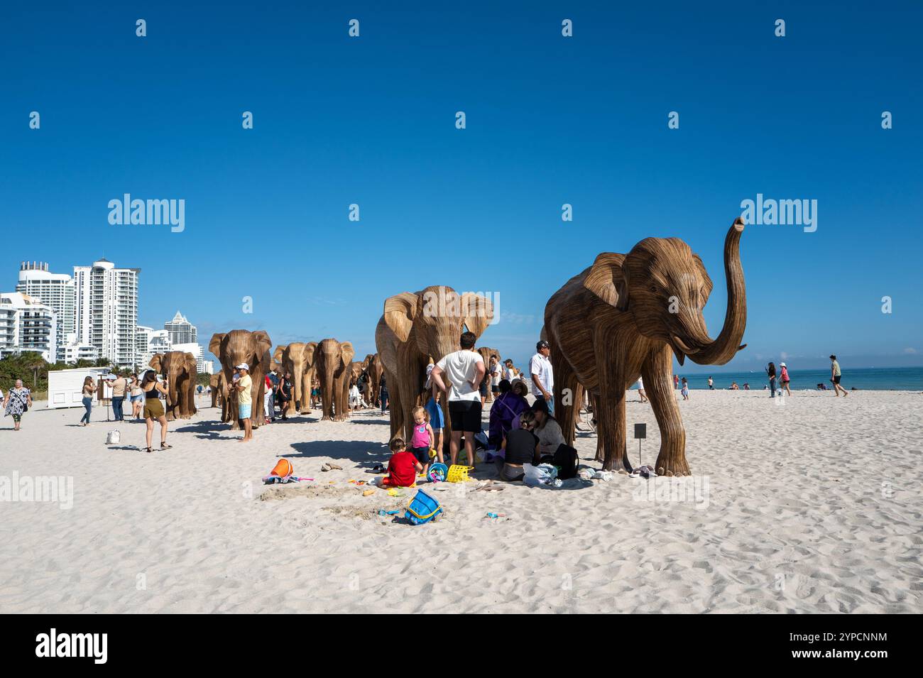 Miami, United States Of America. 29th Nov, 2024. Miami Beach, FL-NOV 29 ...