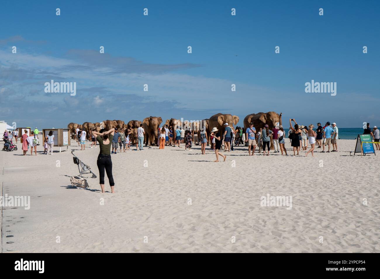 The great elephant migration hi-res stock photography and images - Alamy