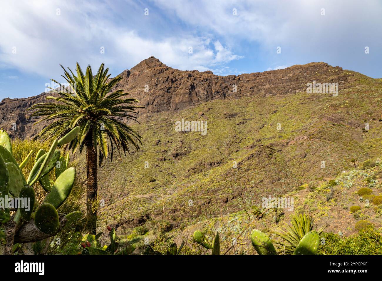 The Masca Gorge is one of the most popular places in Tenerife. Walking ...