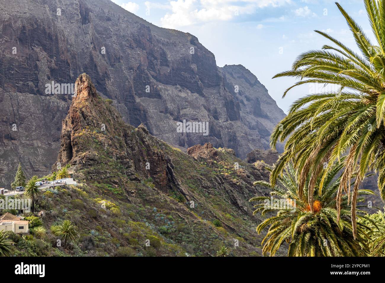 The Masca Gorge is one of the most popular places in Tenerife. Walking ...