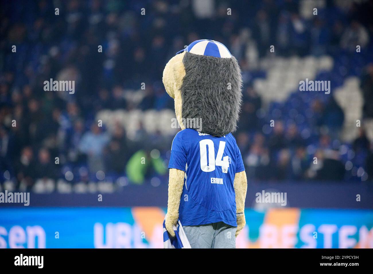 Gelsenkirchen, Germany. 29th Nov, 2024. Soccer: Bundesliga 2, FC ...