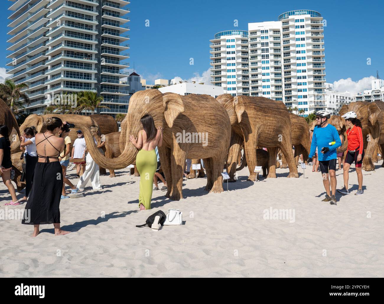 Miami, United States Of America. 29th Nov, 2024. Miami Beach, FL-NOV 29 ...