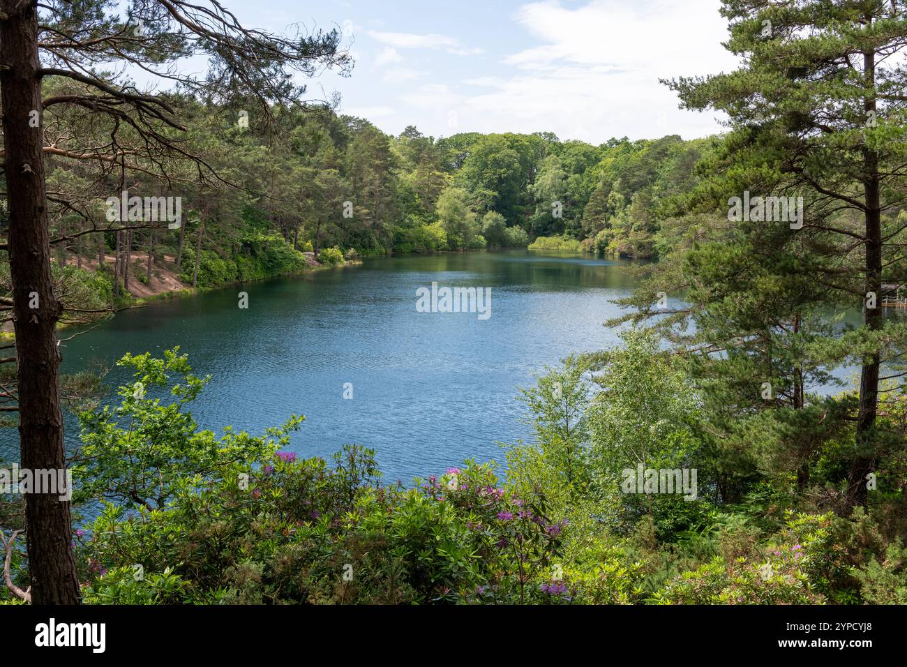 Photo of the Blue Pool in Dorset Stock Photo - Alamy